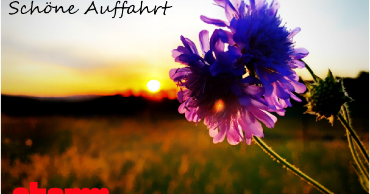 Stamm wünscht schöne Auffahrt!